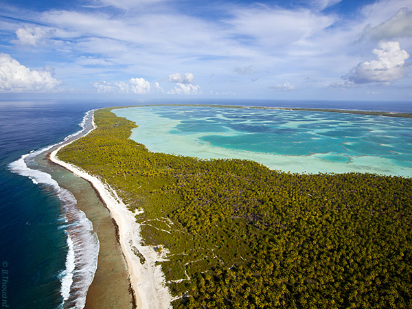 Coconut plantations in Tuamotu archipelago