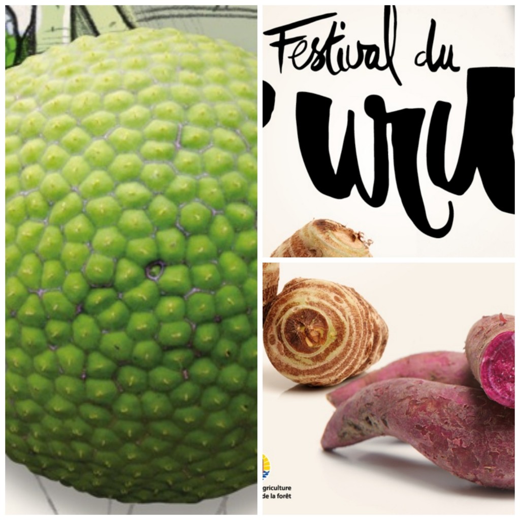 Posted by Héloïse ALBEROLA on 5 March 2016 5 March 2016